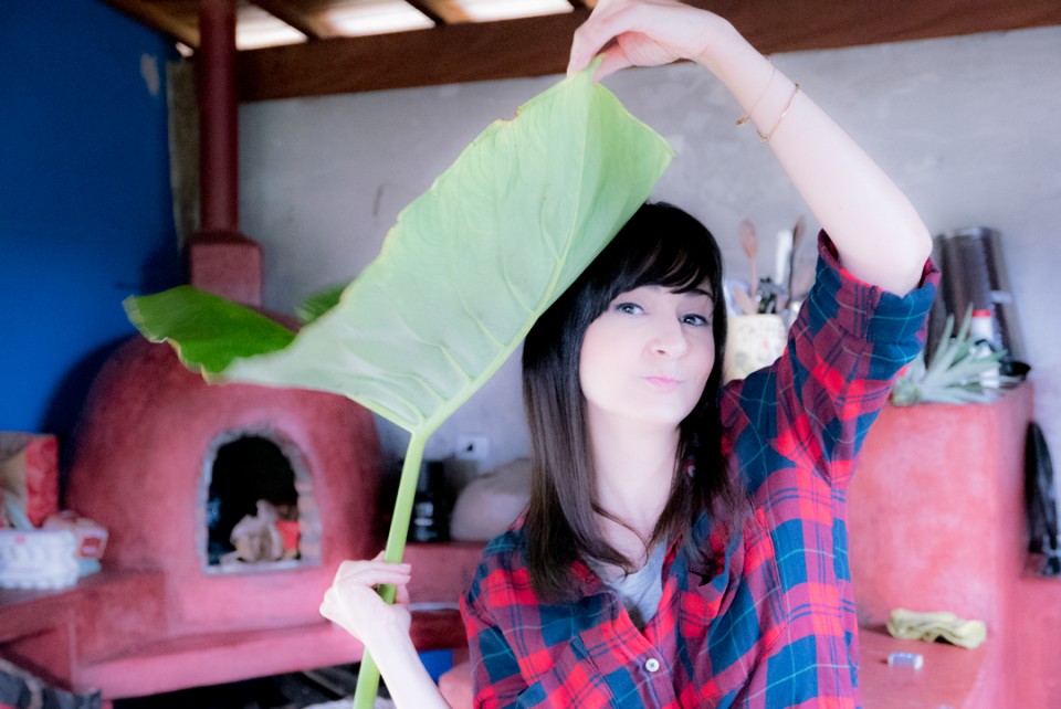 Cajuzinho - Danielle Noce