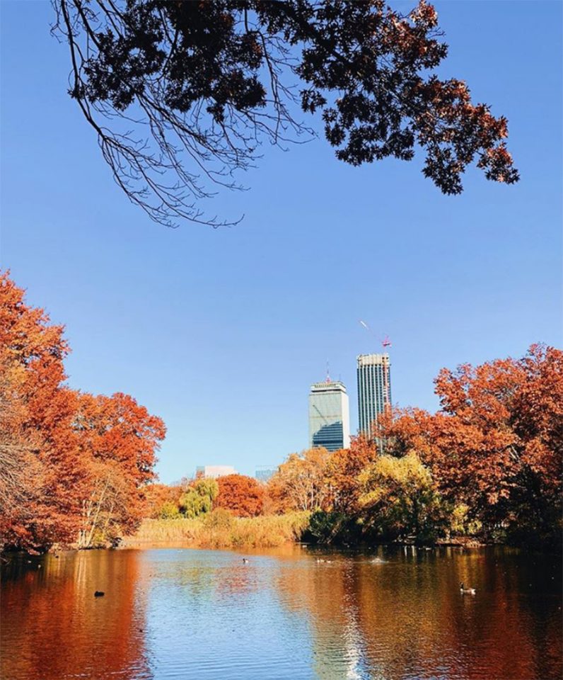 Os 8 Melhores Parques e Jardins de Boston